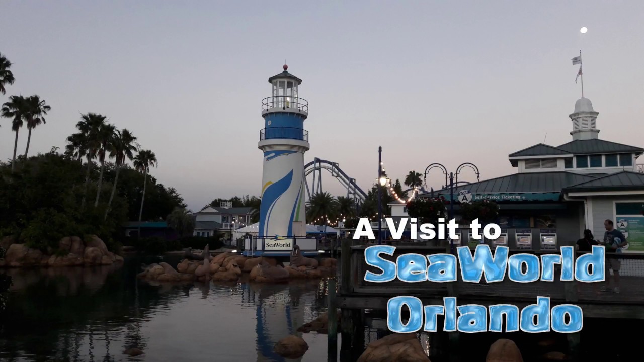 A Visit to SeaWorld Orlando including Kraken and Mako on-ride POV ...